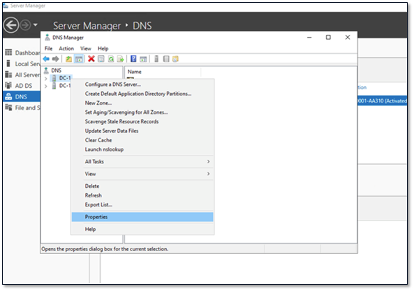 DNS Relay Software for Windows Server
