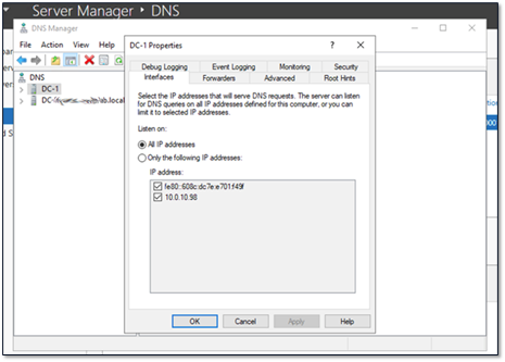 DNS Relay Software for Windows Server